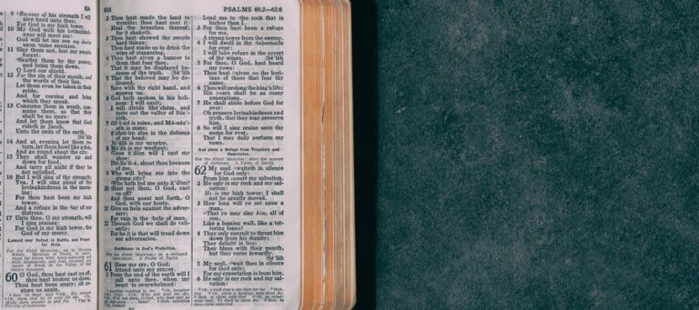 Leprosy in the Bible - The Leprosy Mission Northern Ireland